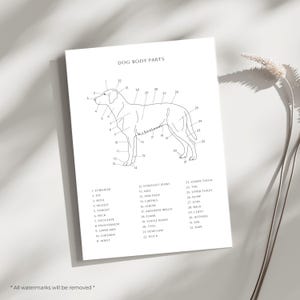 Dog Body Parts | Dog Anatomy | Canine Worksheet | Dog Body Worksheet ...