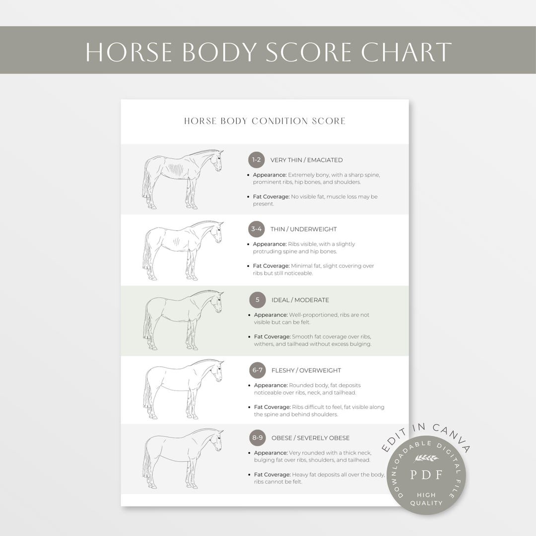 Horse Body Condition Score Chart | Equine Body Scoring Guide | Printable Horse Weight Tracker ...