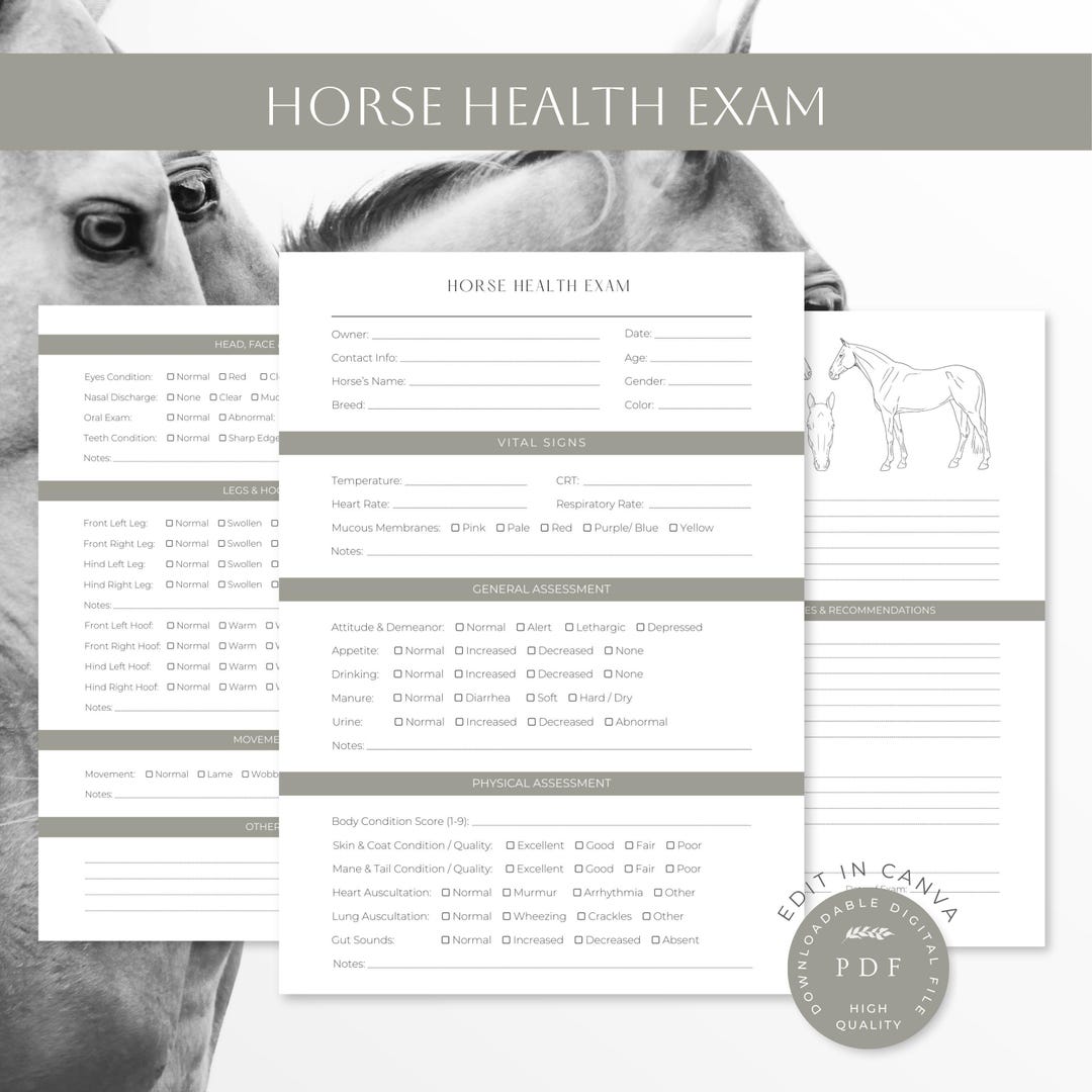 Horse Health Exam Form | Horse Physical Exam | Equine Form | Horse ...