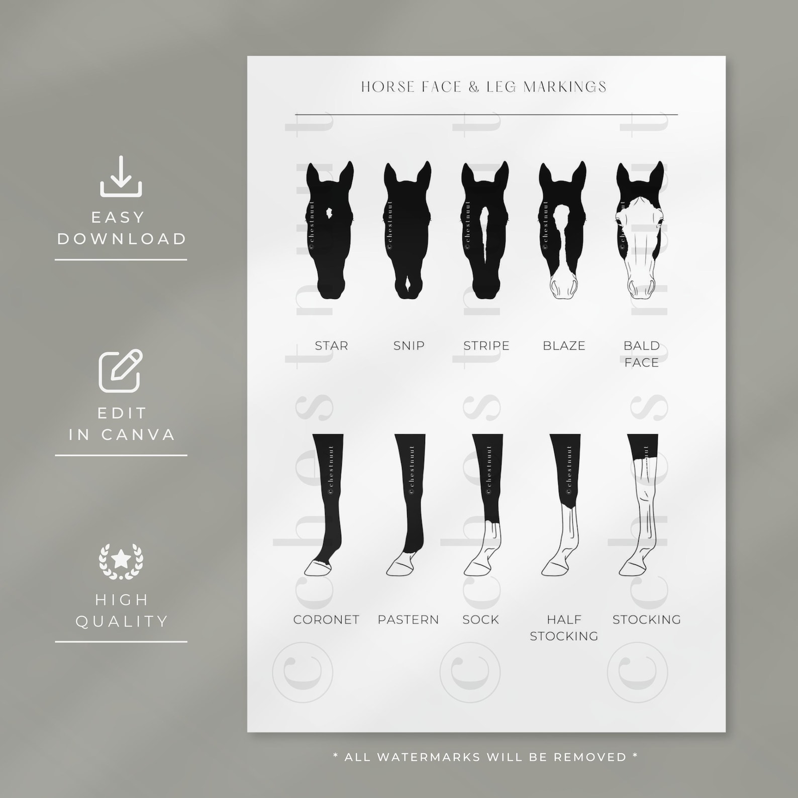 Horse Face and Leg Markings Guide | Printable Horse Markings Worksheet ...