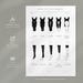 Horse Face and Leg Markings Guide | Printable Horse Markings Worksheet ...