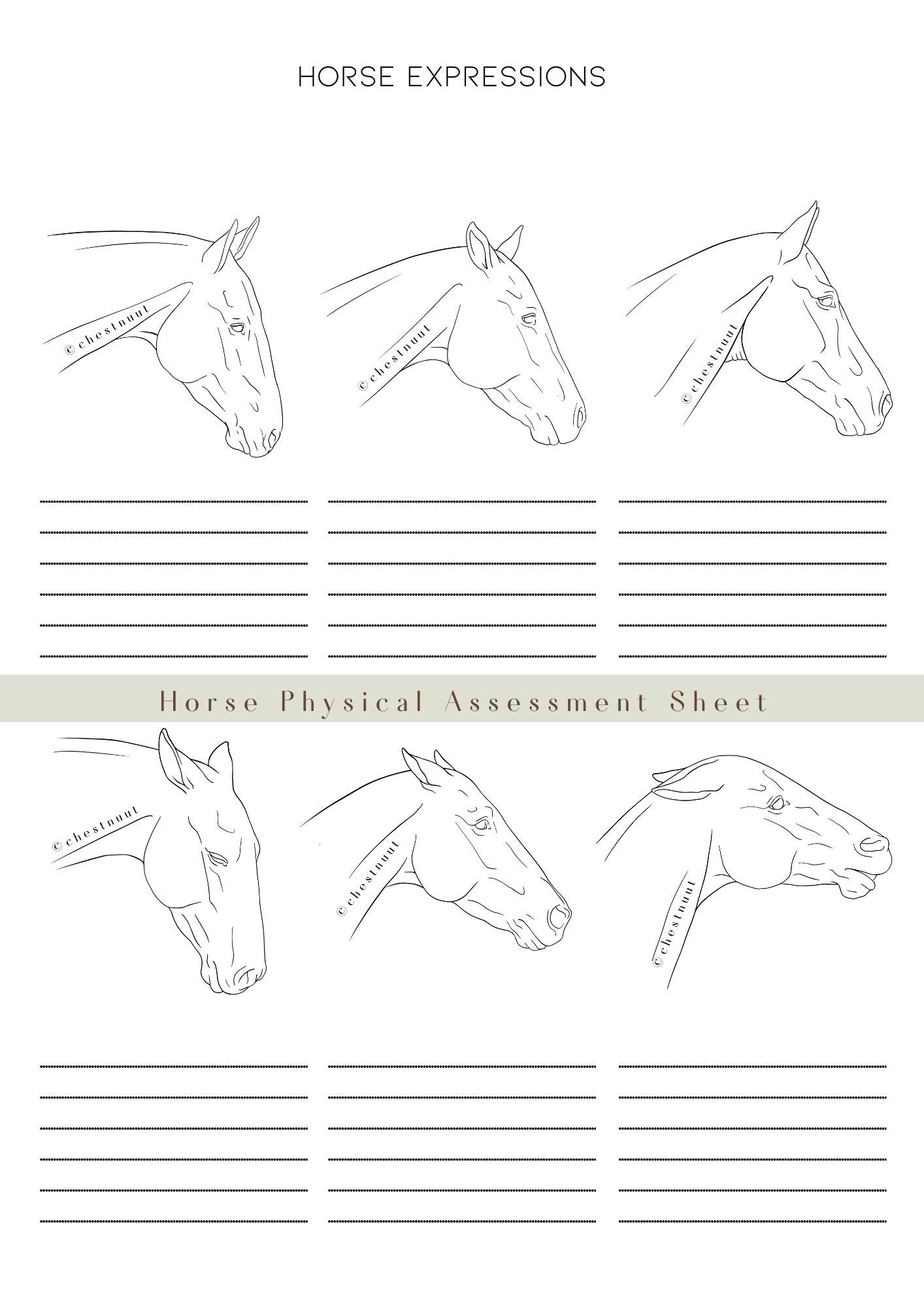 Horse Expressions Sheet Horse Moods Horse Emotions Equine Form Horse ...
