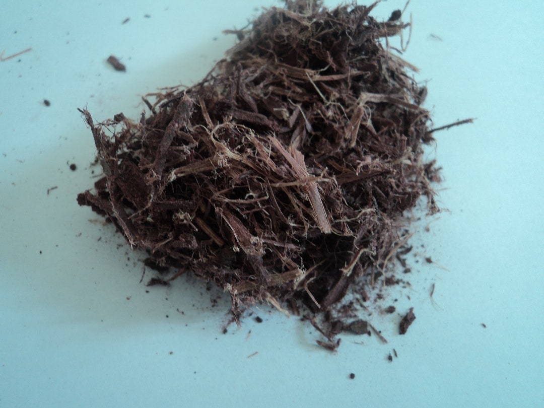 Natural Purple Dye Root Bark 100 G M.H Quality - Etsy