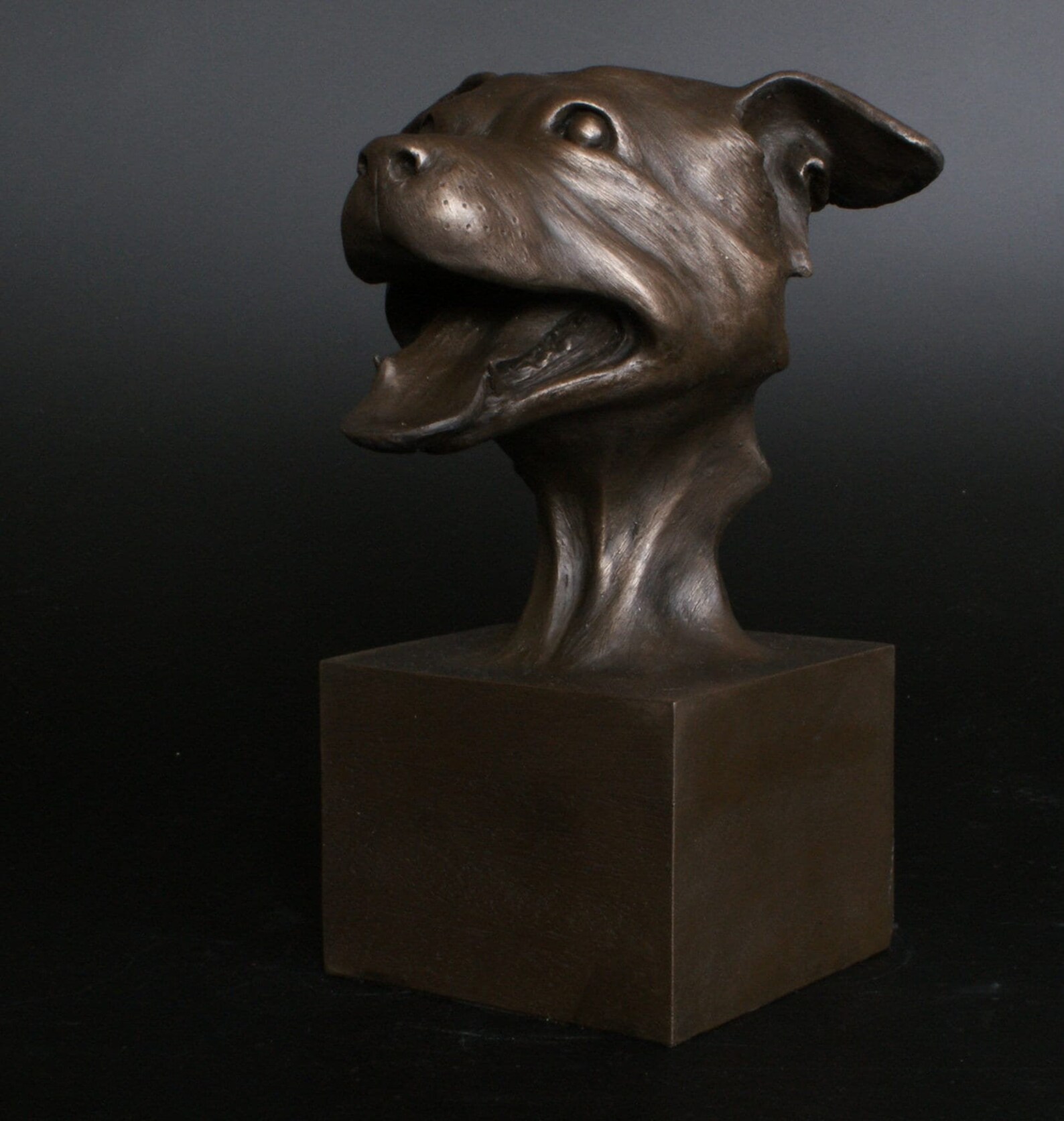 Bronze Statuette, Dog, Bust, Collectable, Gift, Cold Cast Bronze ...