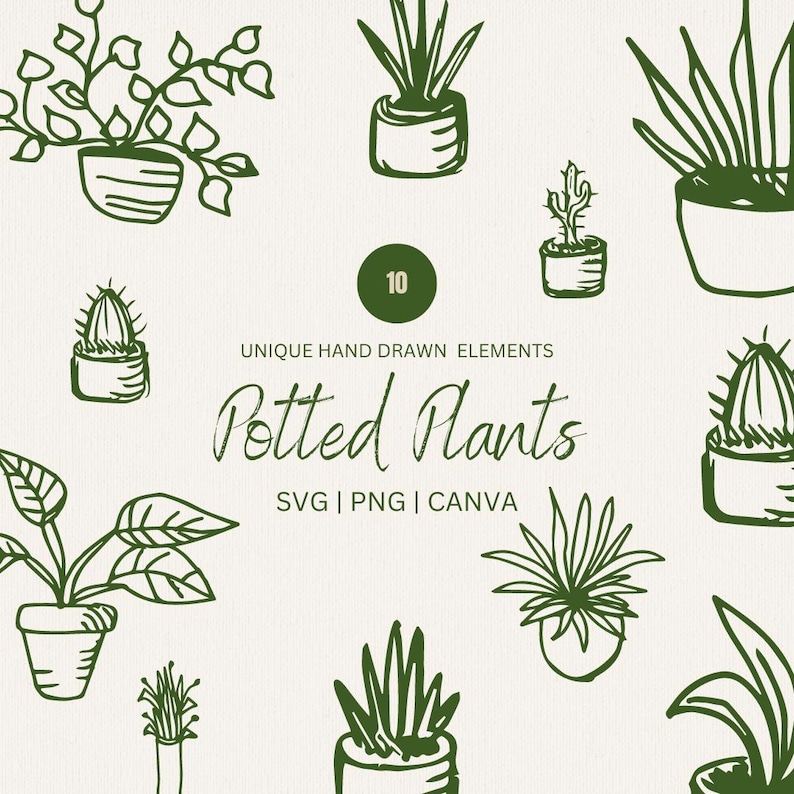 Hand Drawn Potted Plants, Potted Plant Illustrations Succulents and ...