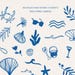 88 Hand-drawn Mediterranean Summerillustrations, Hand Drawn Costal ...