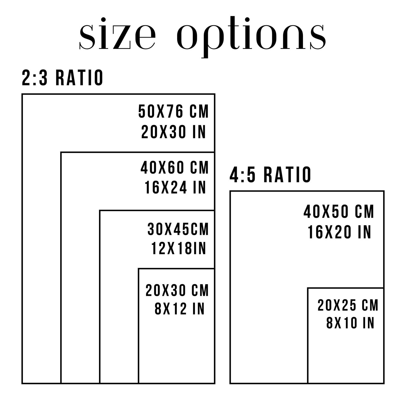 South African Print, Springbok Rugby Poster, South Africa Rugby ...