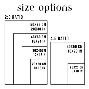 Springbok Art, South African Wall Art, South African Decor, South ...