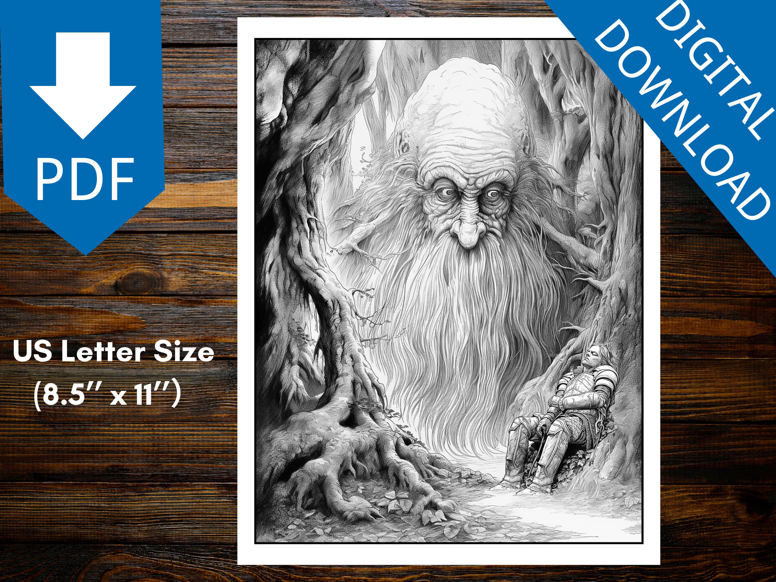 Medieval Fantasy Coloring Book: Journey Through Enchanted Realms and ...