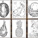 Fruits Coloring Book: A Juicy Coloring Adventure printable Pages - Etsy