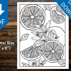 Fruits Coloring Book: A Juicy Coloring Adventure (printable Pages) - Etsy