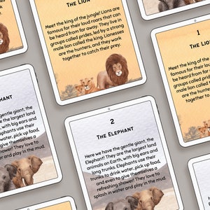 South African Animals Children’s Digital Book Educational Printable ...