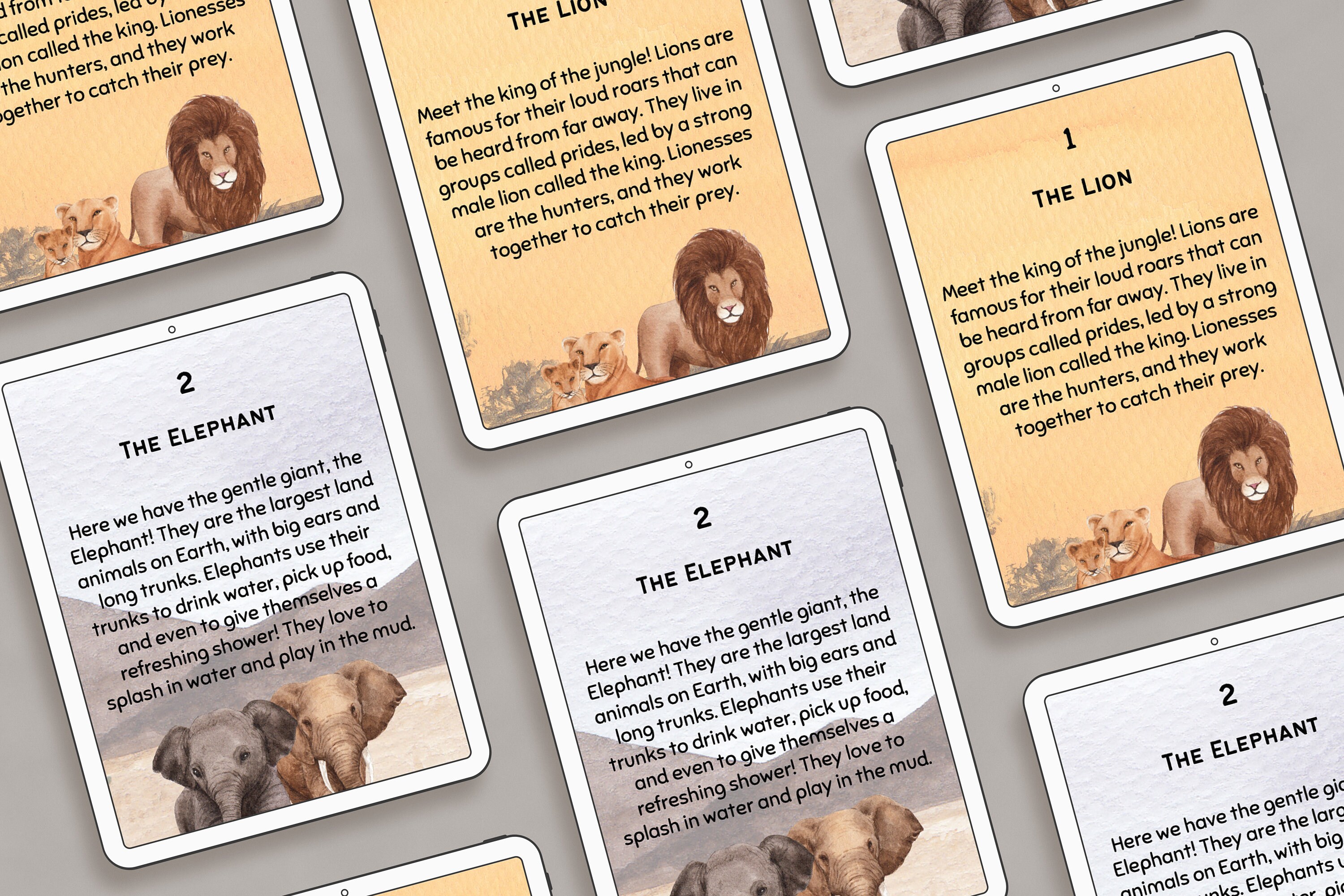 South African Animals Children’s Digital Book Educational Printable ...