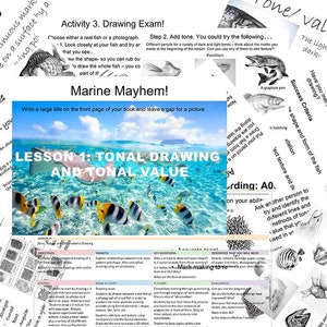 Digital Download Art Lesson How to Draw a Fish, Lesson 1 of Marine ...