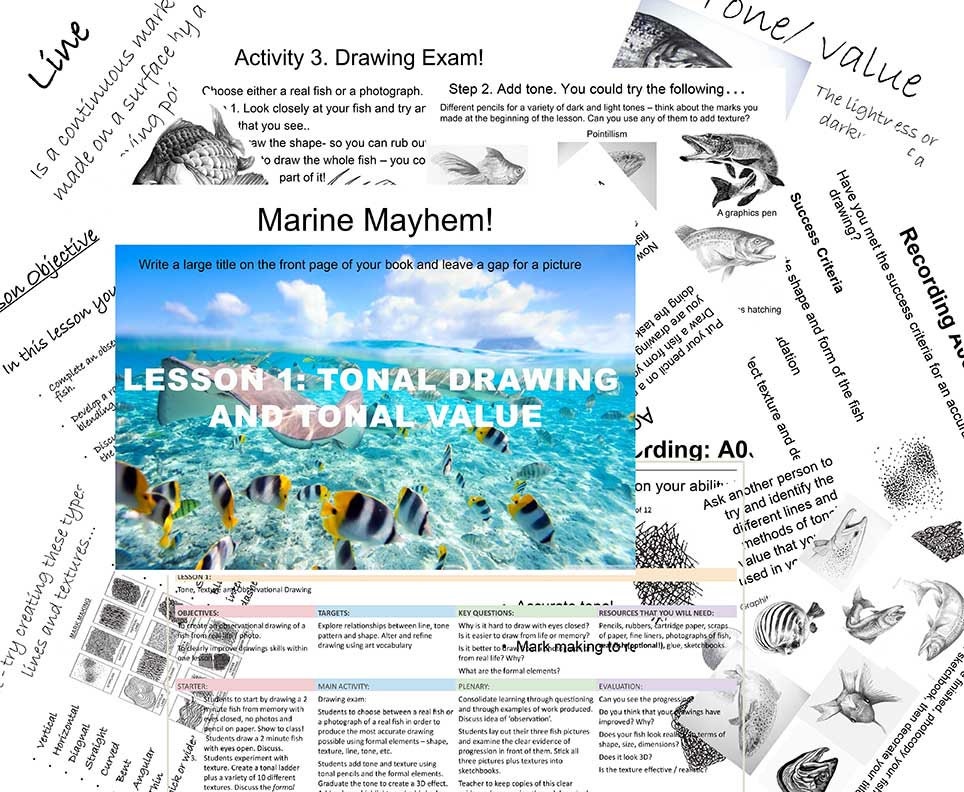 Digital Download Art Lesson How to Draw a Fish, Lesson 1 of Marine ...