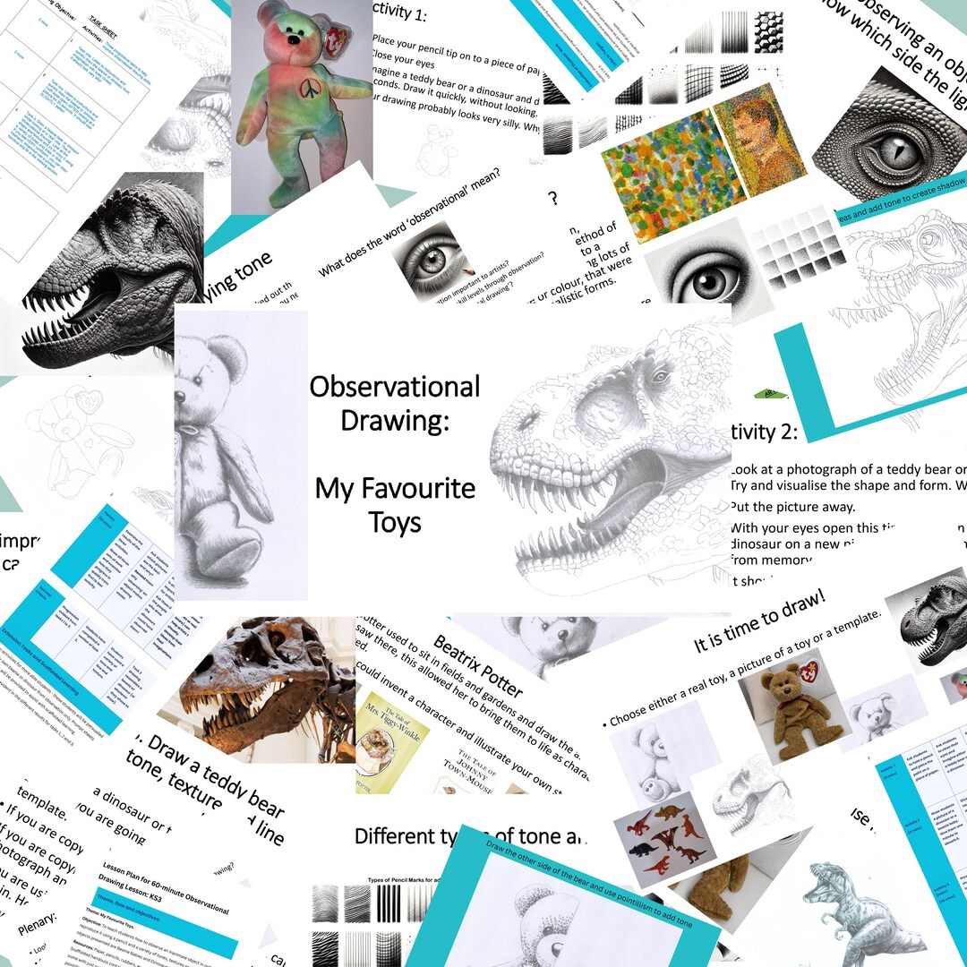 Observational Drawing Lesson for KS3, Year 5-7 Drawing Lesson, How to ...