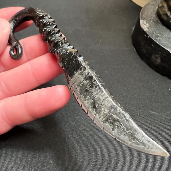 Forged Dragon - Etsy