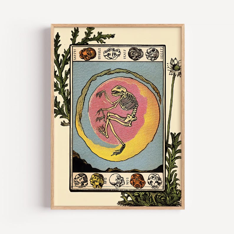 Triple Skeleton Frog Tarot Art Pack Psychedelic Whimsigoth Digital ...