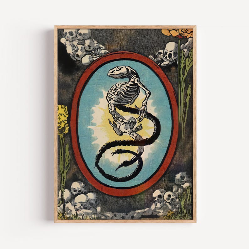 Triple Skeleton Frog Tarot Art Pack Psychedelic Whimsigoth Digital ...