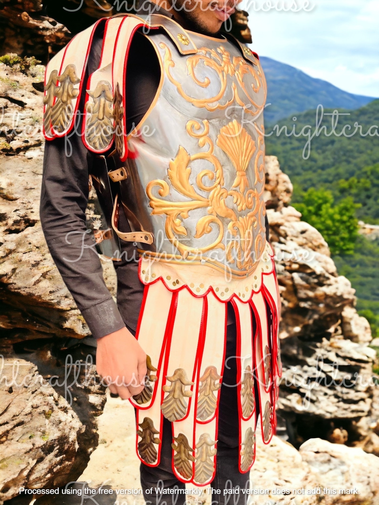 Handmade Roman Muscle Armor Cuirass: Steel Gladiator Cosplay ...