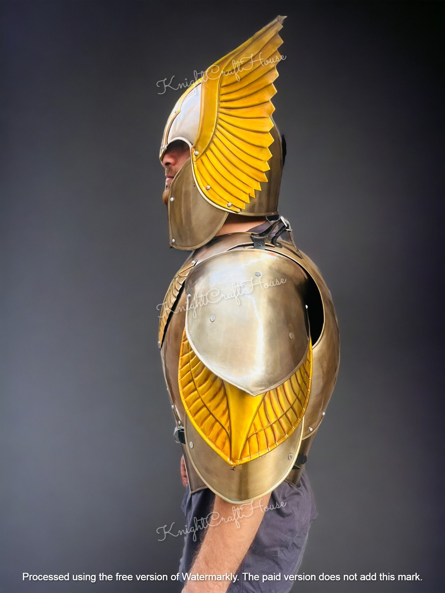 Medieval LOTR Elven Armor Set – Fantasy Roman Knight Cuirass, Pauldrons ...
