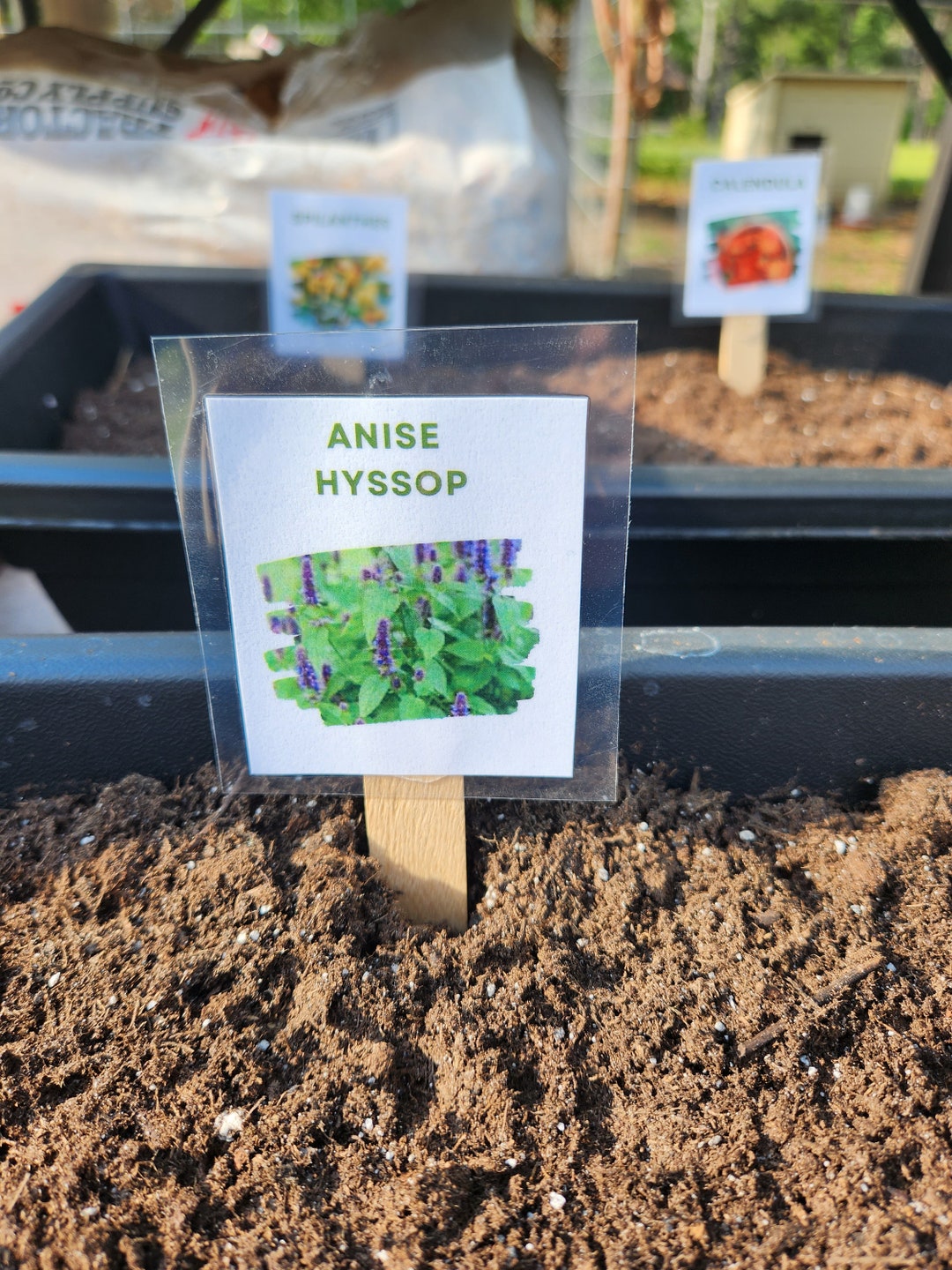 Garden Name Tags - Etsy