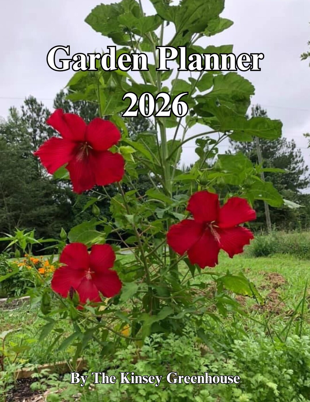 Amaryllis 2026 Printable Garden Planner PDF | Planting Calendar ...