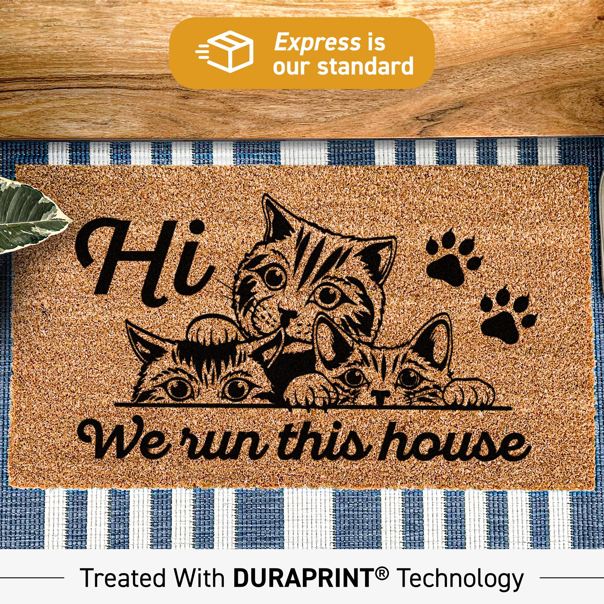 Cat Doormat, Cat Welcome Mat, Paw-some Entryway Essential, Cat Coir ...