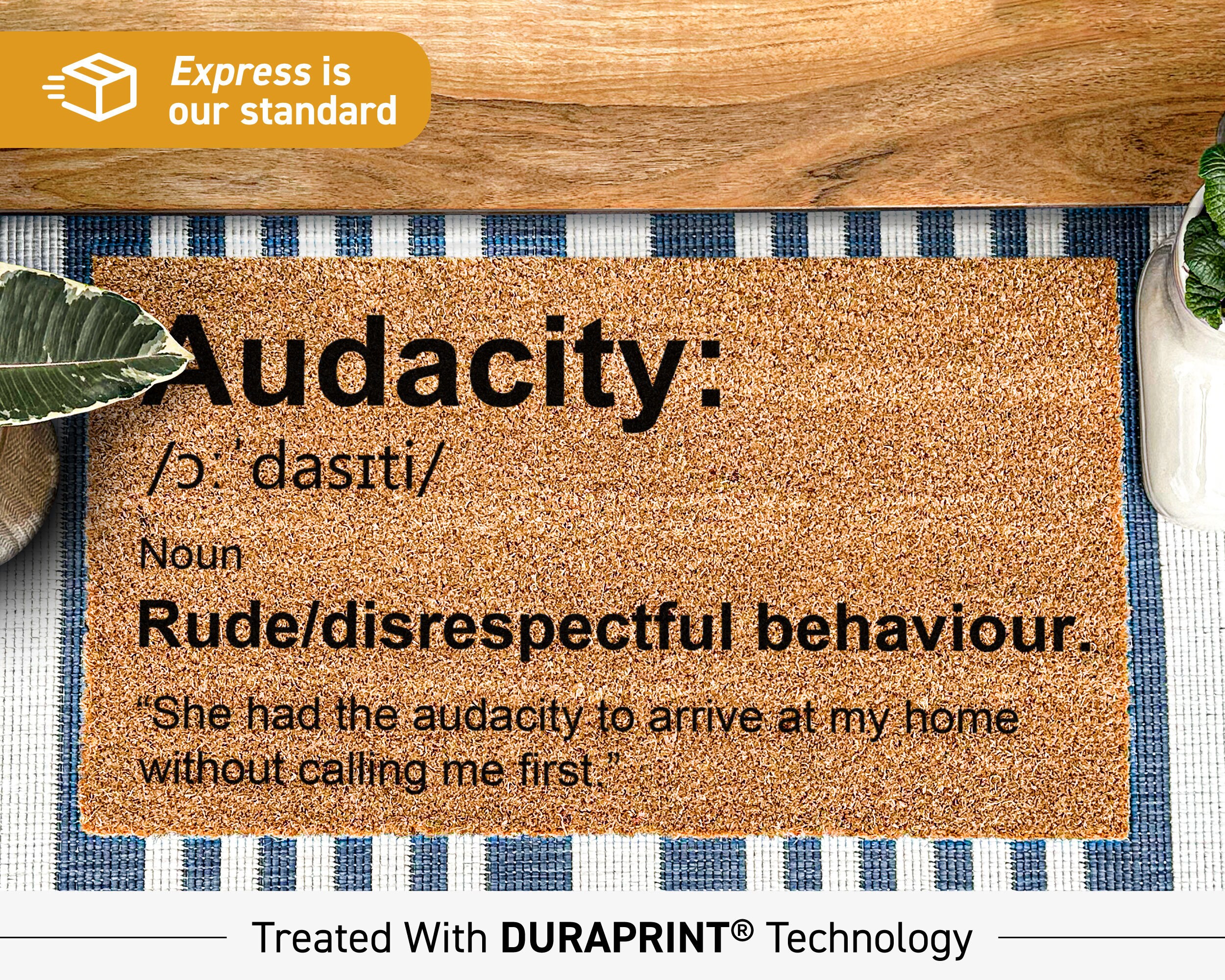 Audacity Definition