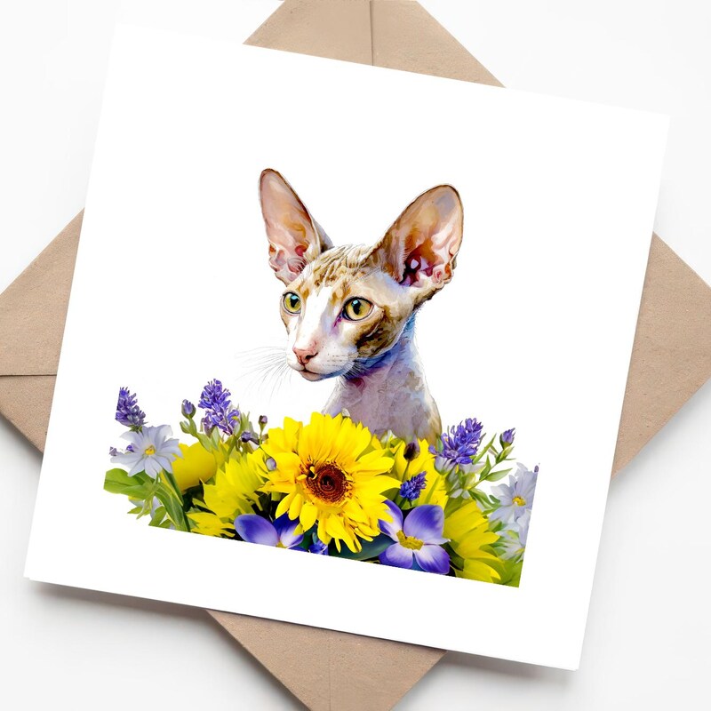 Cornish Rex Cat Cards - Etsy