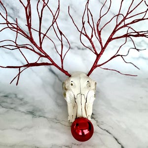 Festive Deer Skull - Etsy