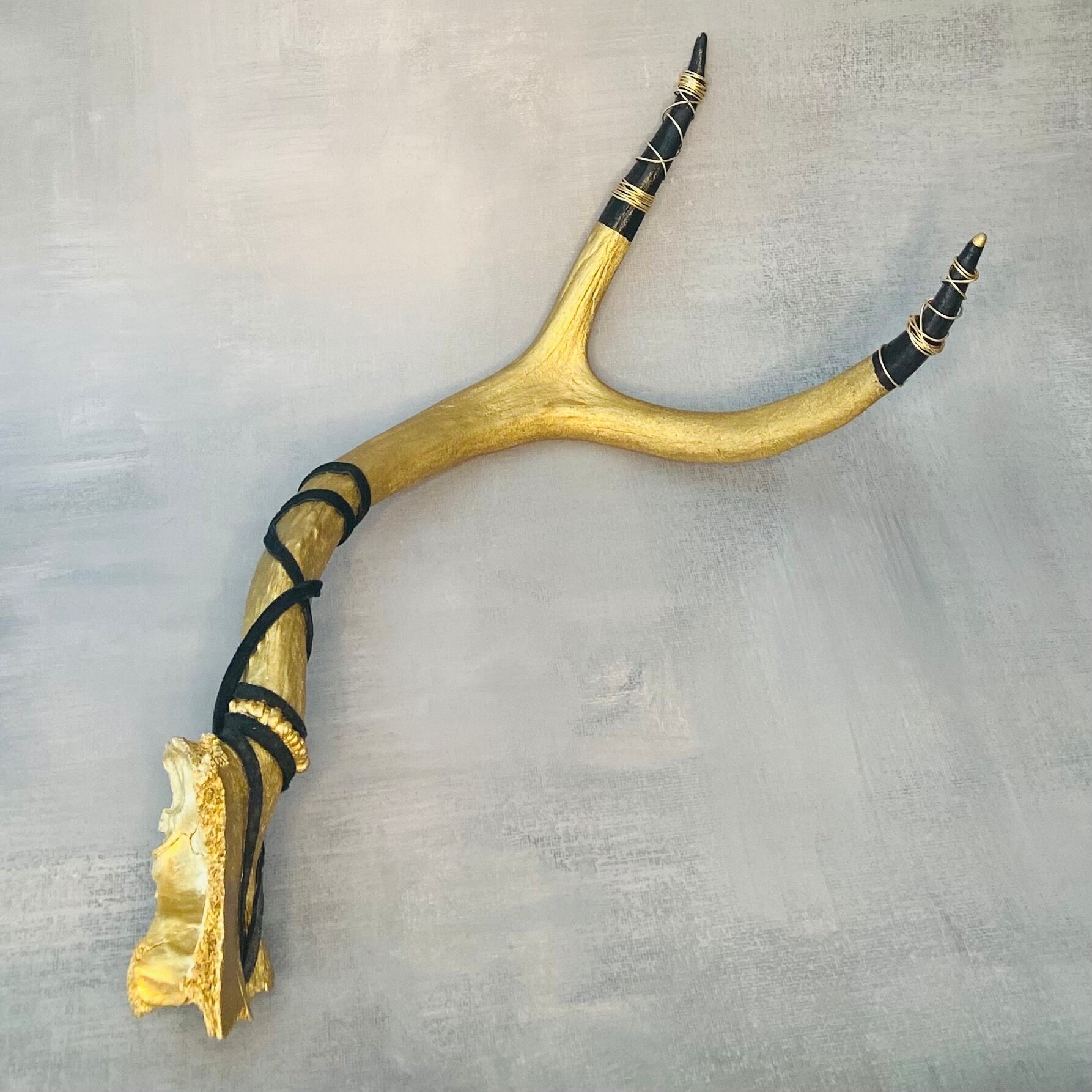Gold and Black Deer Antler - Etsy