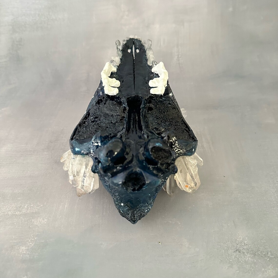 Crystal and Night Sky Coyote Skull - Etsy