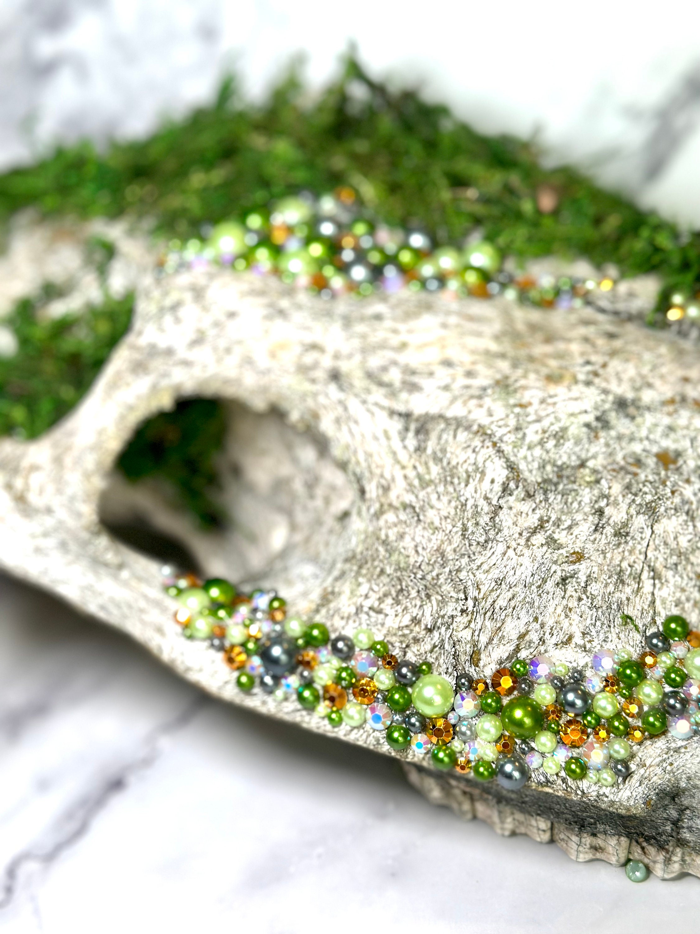 Donkey Skull - Etsy