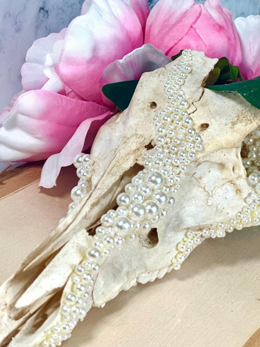 Wild Hog Skull With Pearls - Etsy
