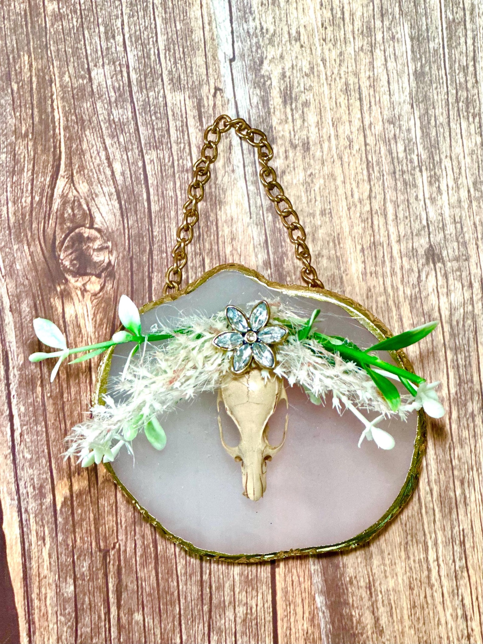 Rat Skull Head Mount - Etsy