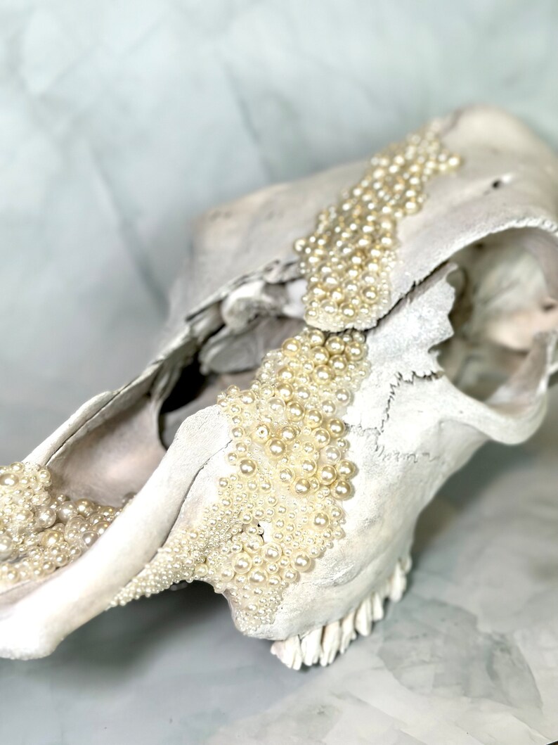 Pearl Cow Skull - Etsy