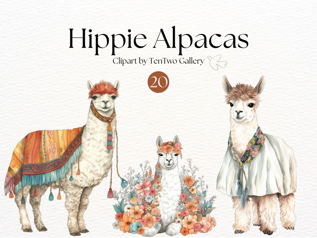 Hippie Alpacas Clipart | Cute Groovy Alpaca Clipart | 70's Sublimation ...