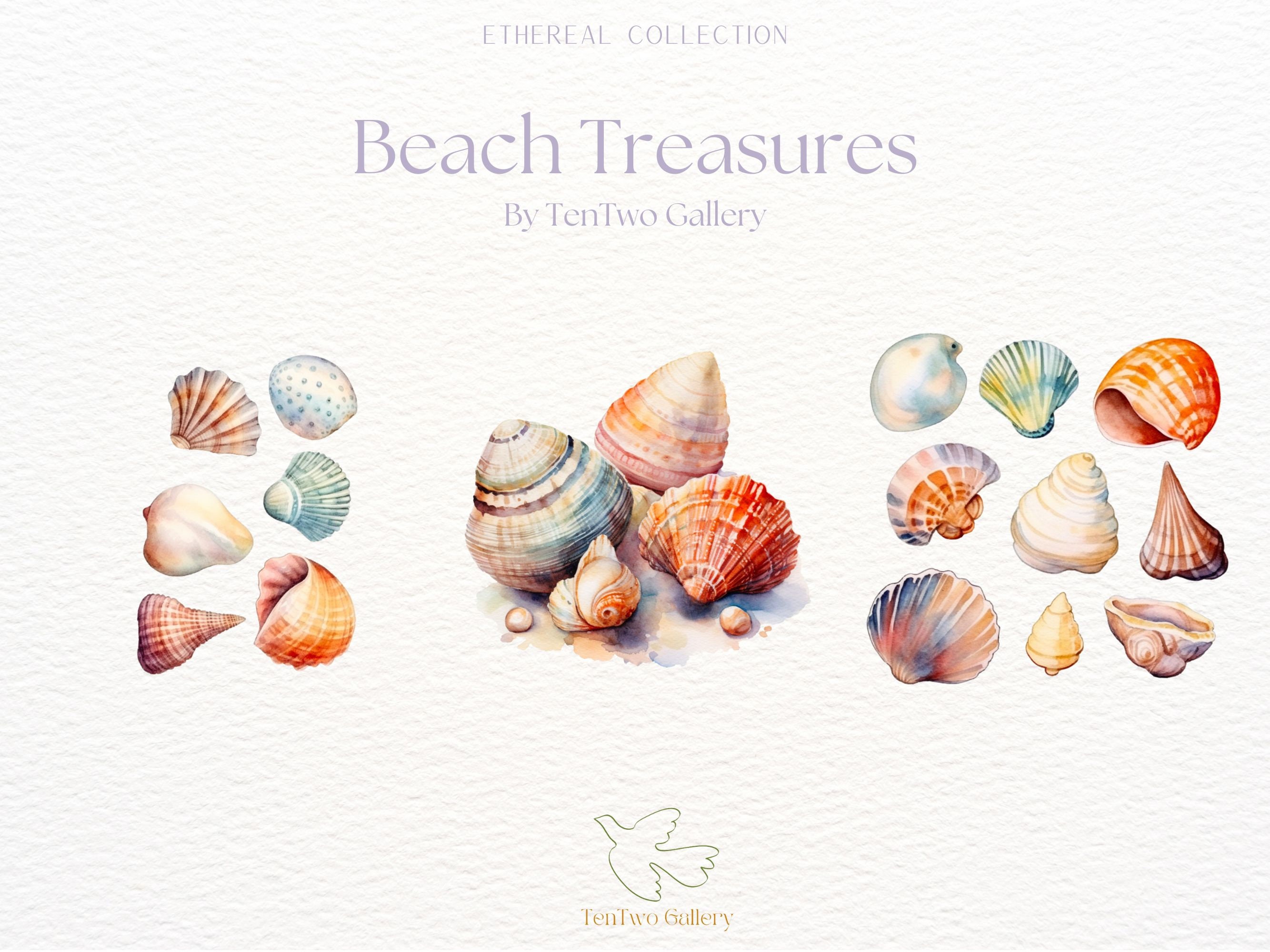 Watercolour Seashells Clipart, Beach Clipart, Seashell PNG, Beach ...