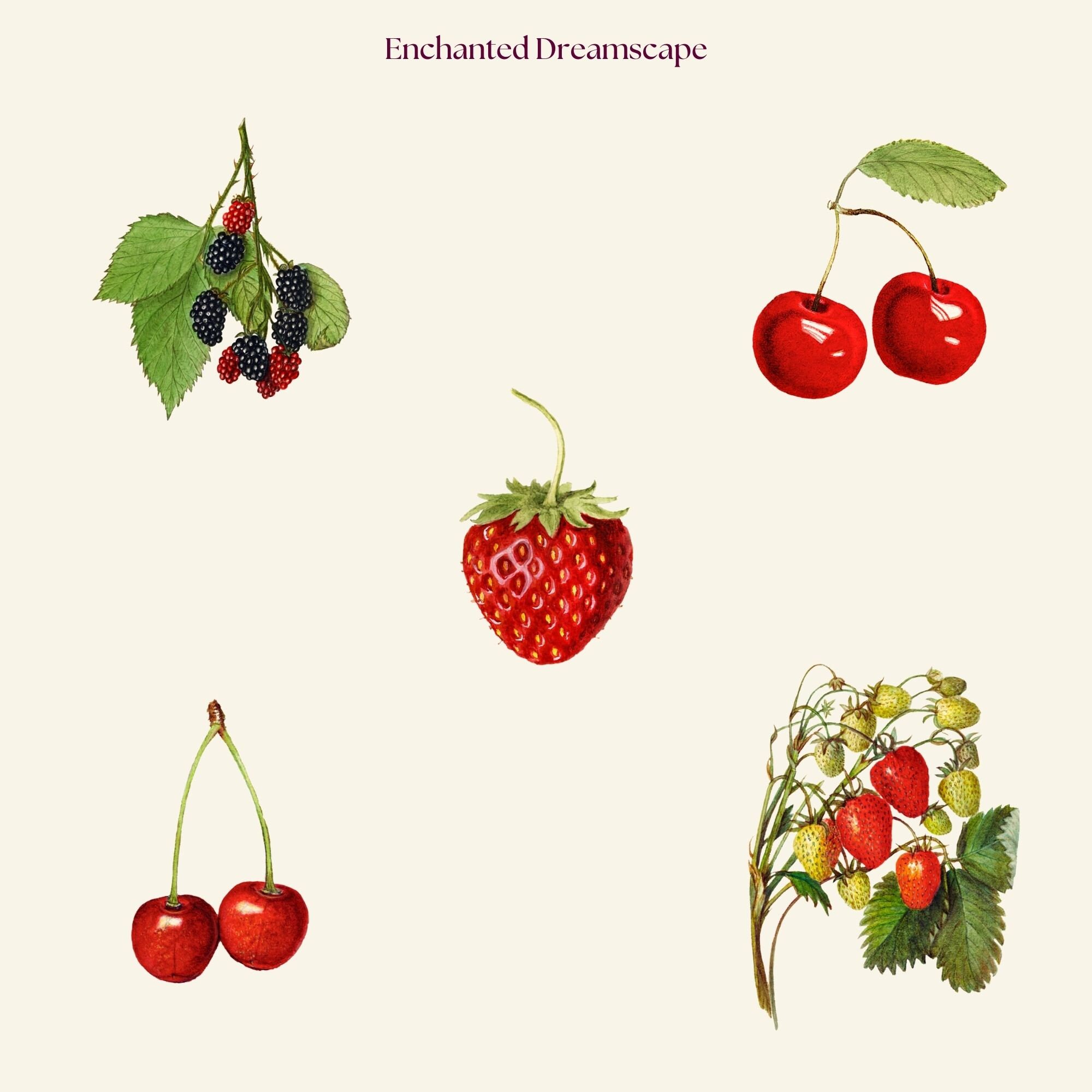 Vintage Fruit Illustrations Clipart Vintage Fruit PNG Full - Etsy