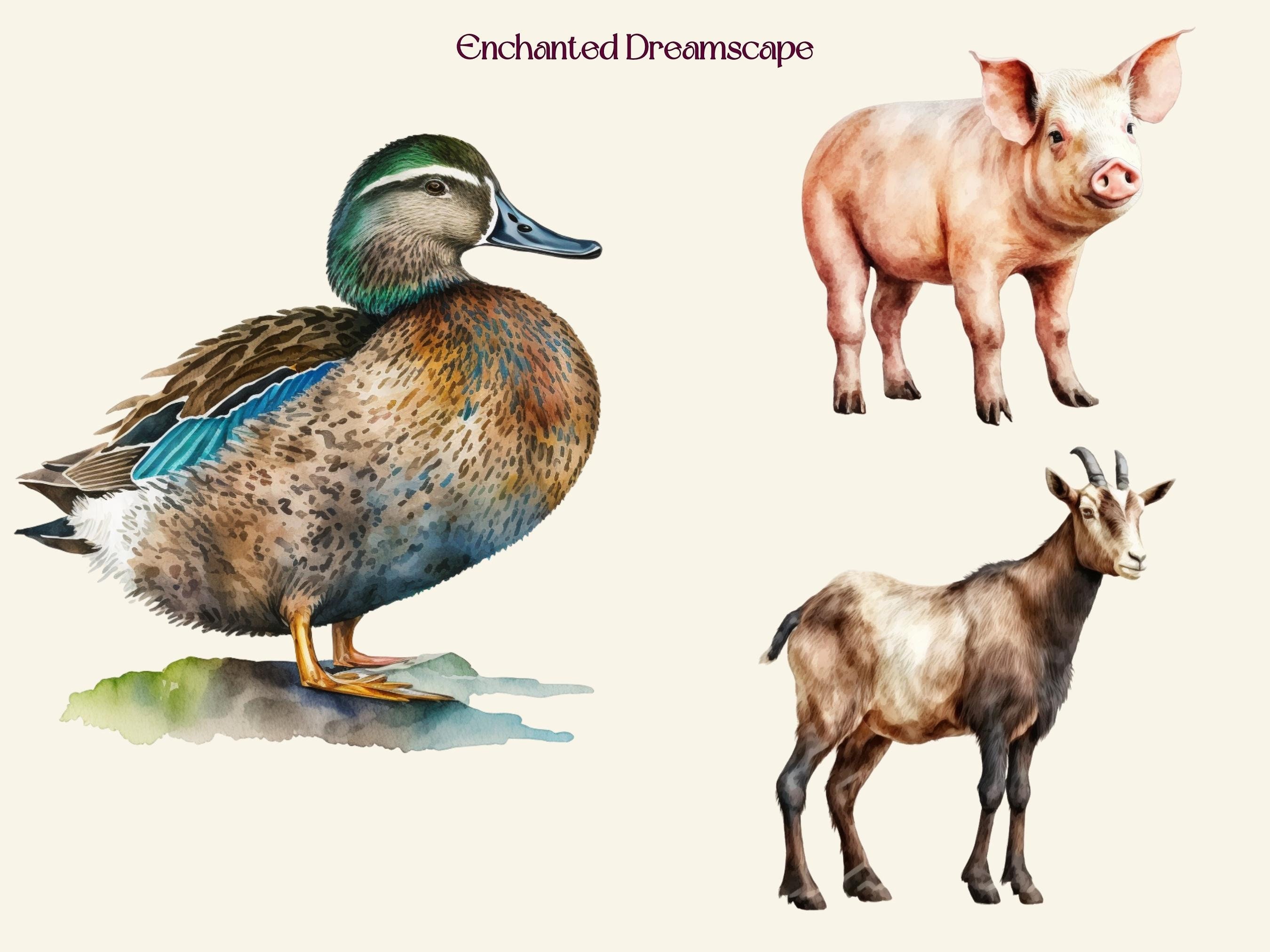 Watercolour Farm Animals Clipart PNG Farm Animals Clipart - Etsy