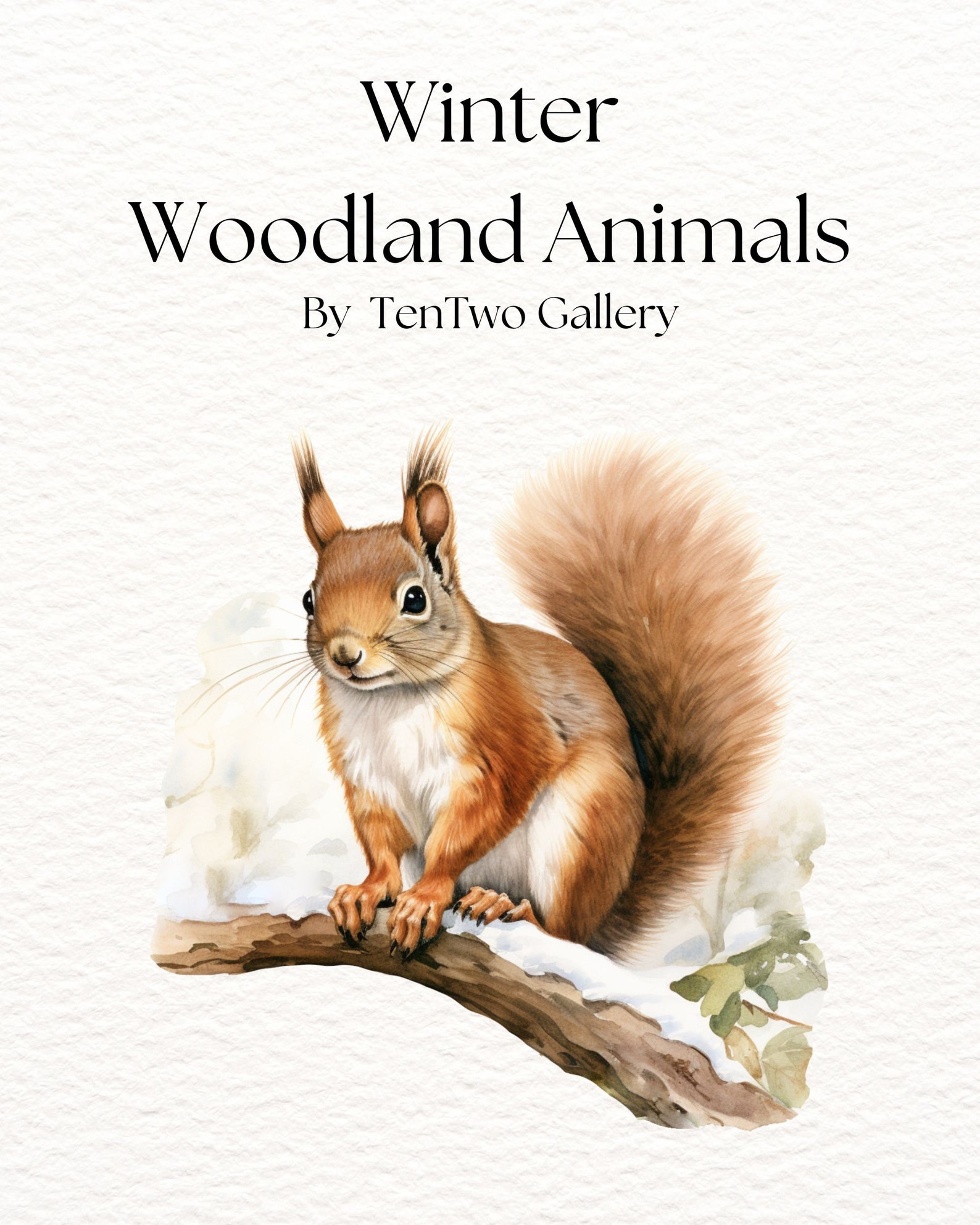 Winter Woodland Animals Clipart Bundle Watercolor Clipart Winter ...