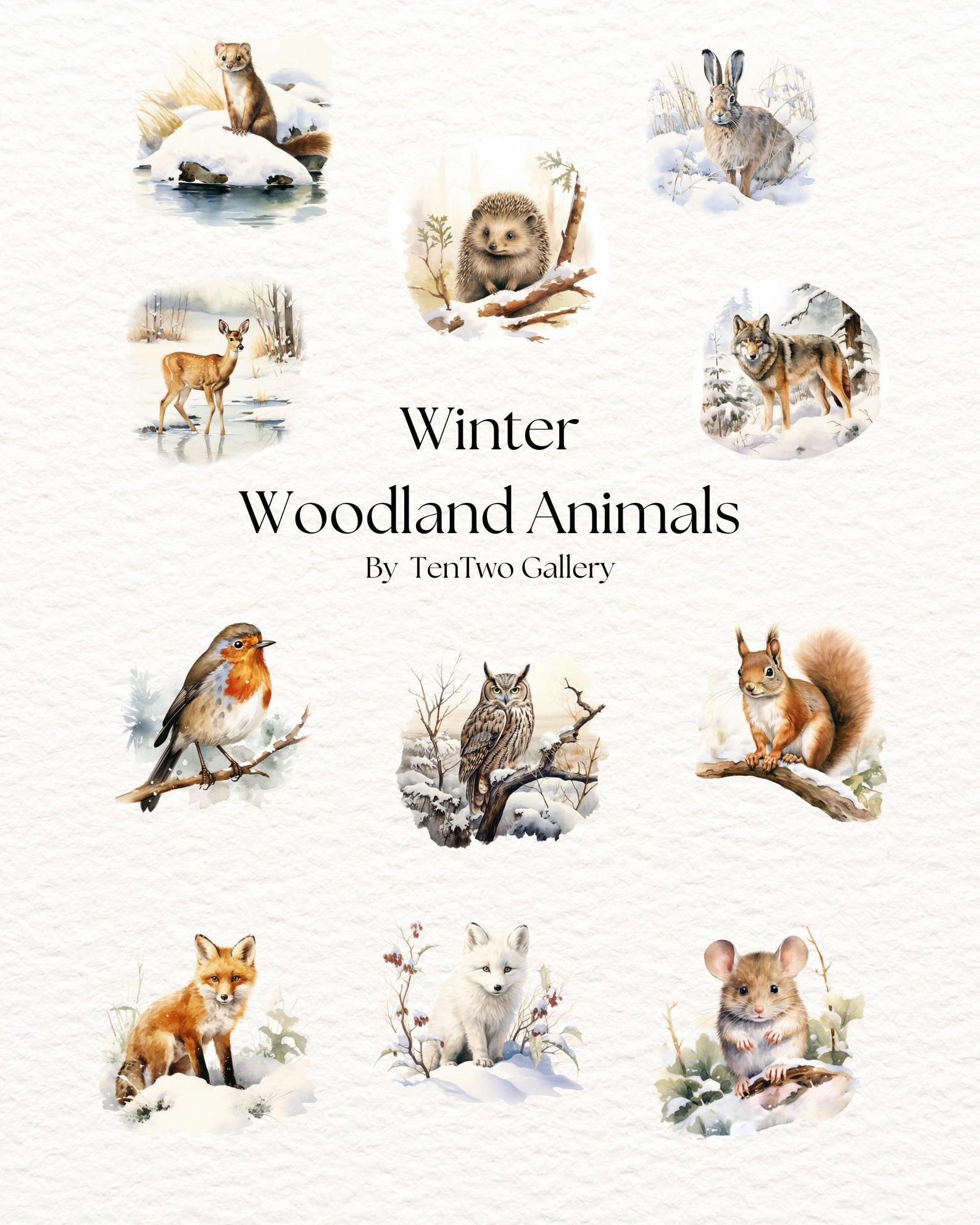 Winter Woodland Animals Clipart Bundle Watercolor Clipart Winter ...