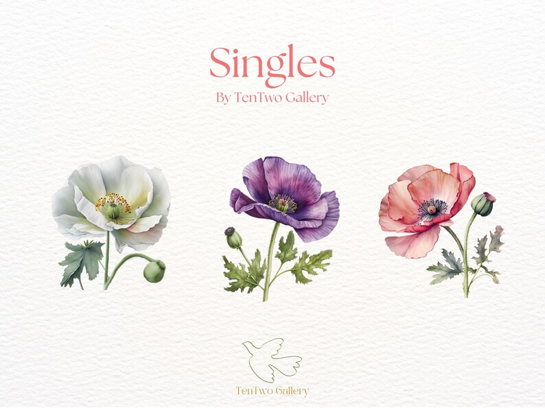 Watercolour Poppy Flowers Clipart, Floral Bouquets, Poppy Wreaths ...