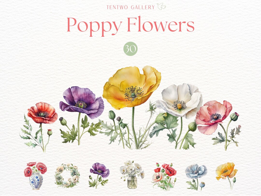 Watercolour Poppy Flowers Clipart, Floral Bouquets, Poppy Wreaths ...