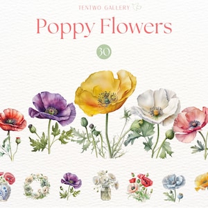 Watercolour Poppy Flowers Clipart, Floral Bouquets, Poppy Wreaths ...