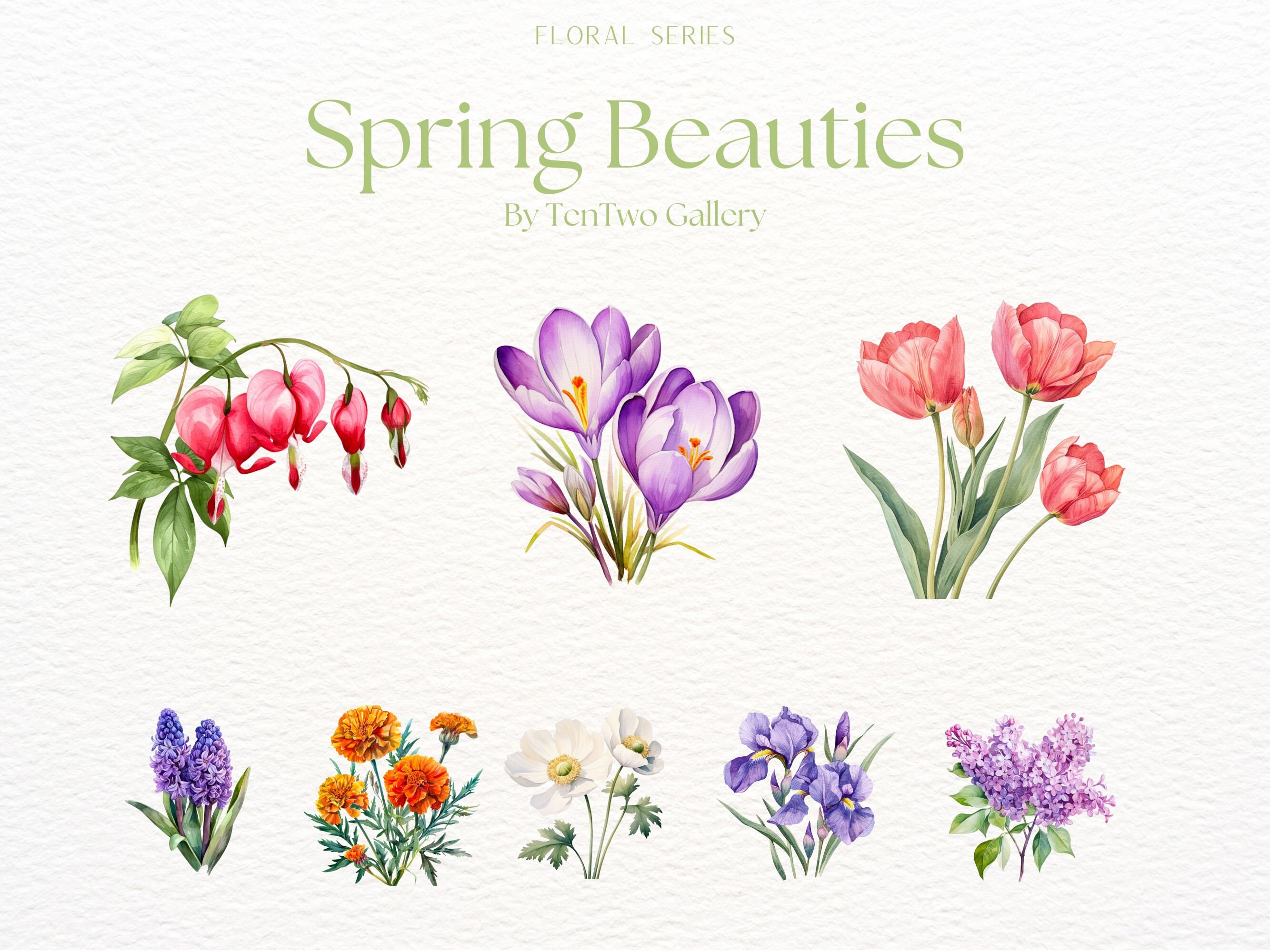 Watercolor Spring Flowers Clipart, Springtime Floral Graphics, Spring ...