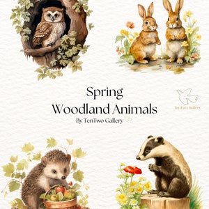 Spring Woodland Animals Clipart | Watercolor Clipart | Spring ...