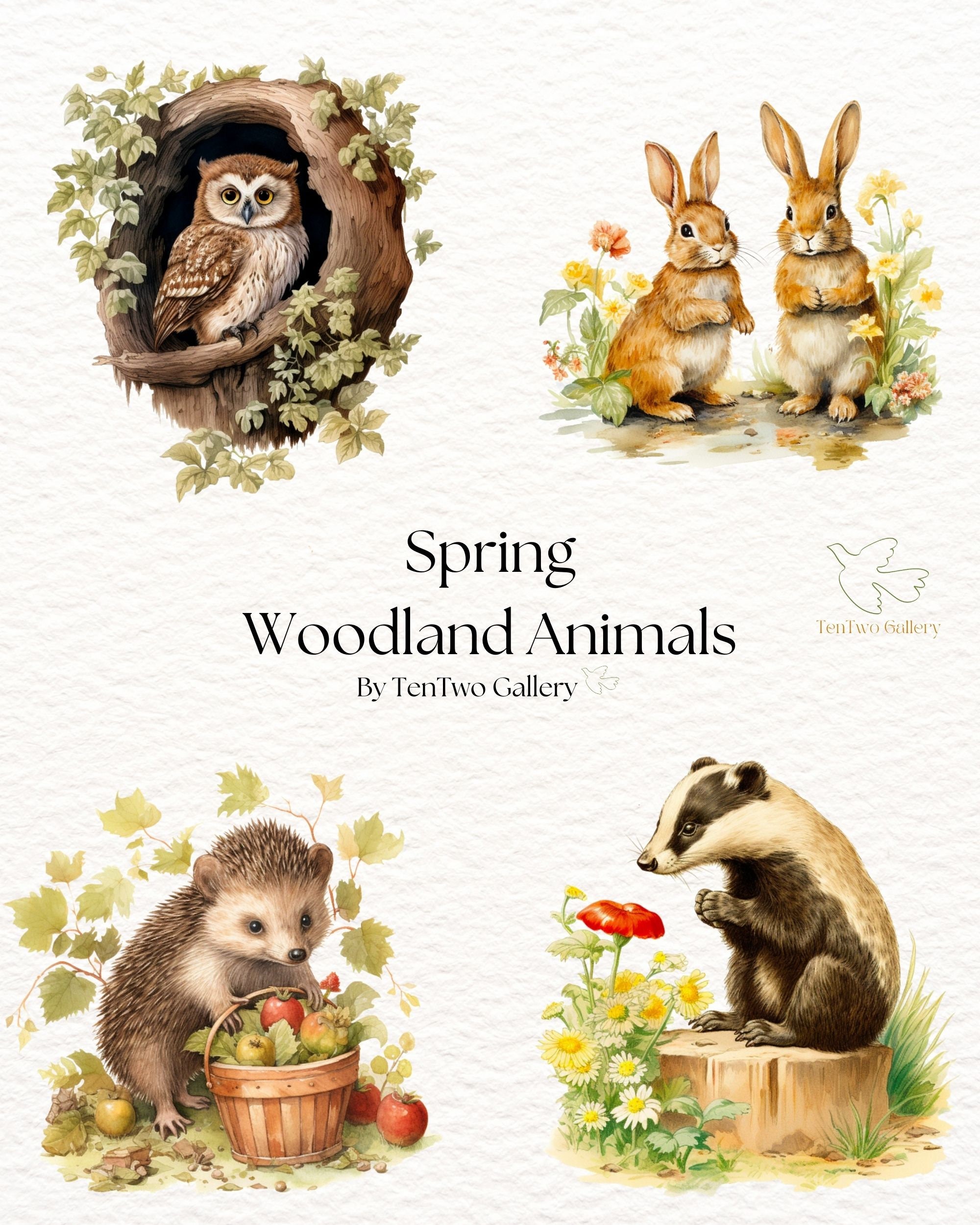 Spring Woodland Animals Clipart Watercolor Clipart Spring Sublimation ...