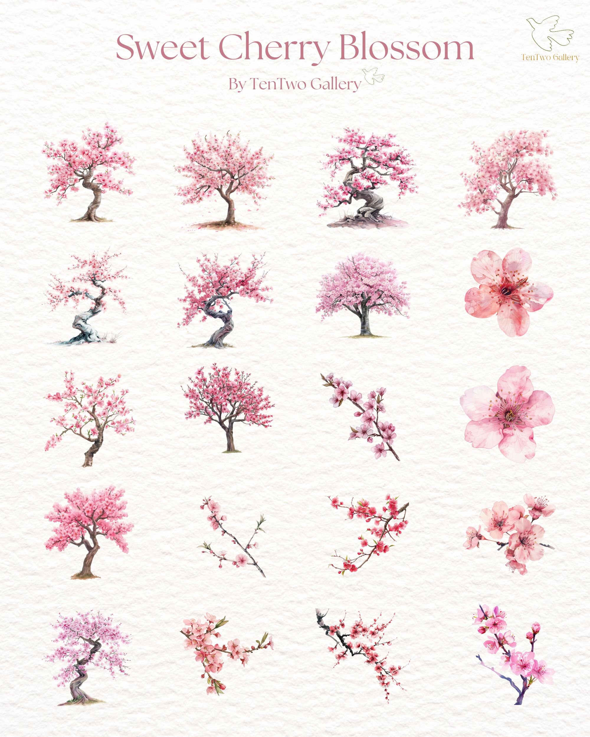 Watercolor Cherry Blossom Trees Clipart, Japanese Cherry Trees, Cherry ...